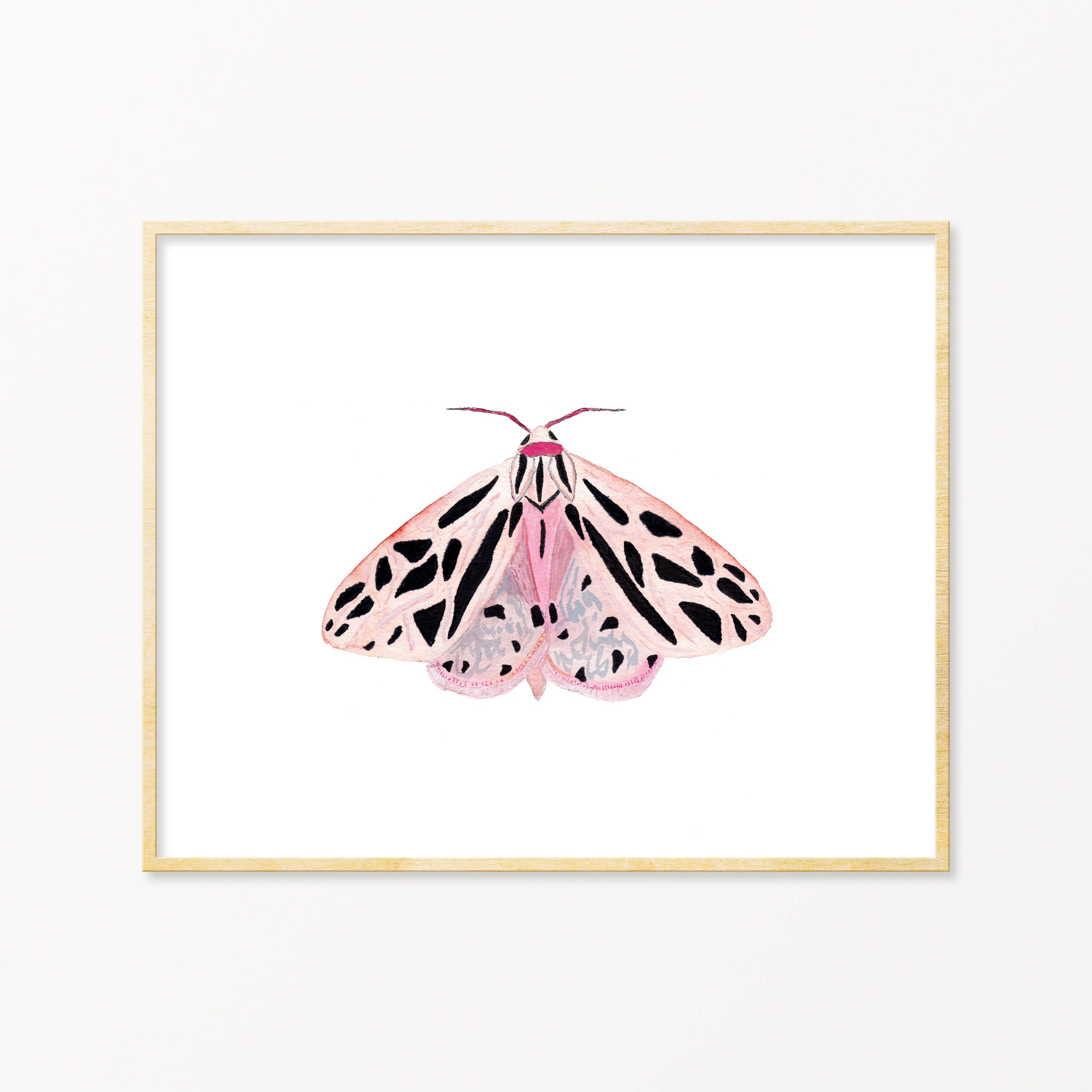 Pastel Watercolor Moth. Pink Winged Moth Art. Unique Nursery | Etsy
