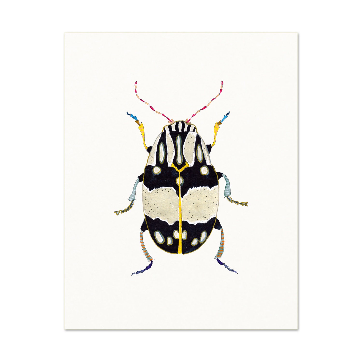 Watercolor Bug Art Print. Boys Room Decor. Colorful Bug Art | Etsy