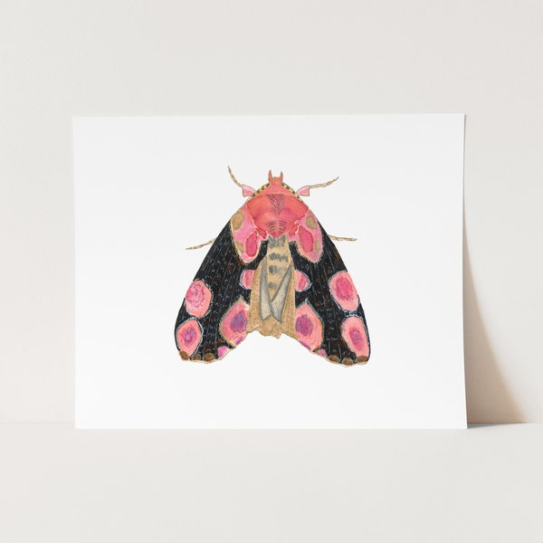Pink Moth - Etsy
