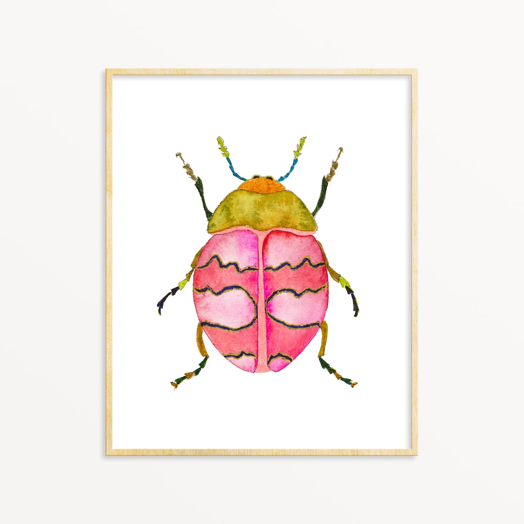 Watercolor Beetle Art Print. Bright Pink Bug Art. Watercolor - Etsy