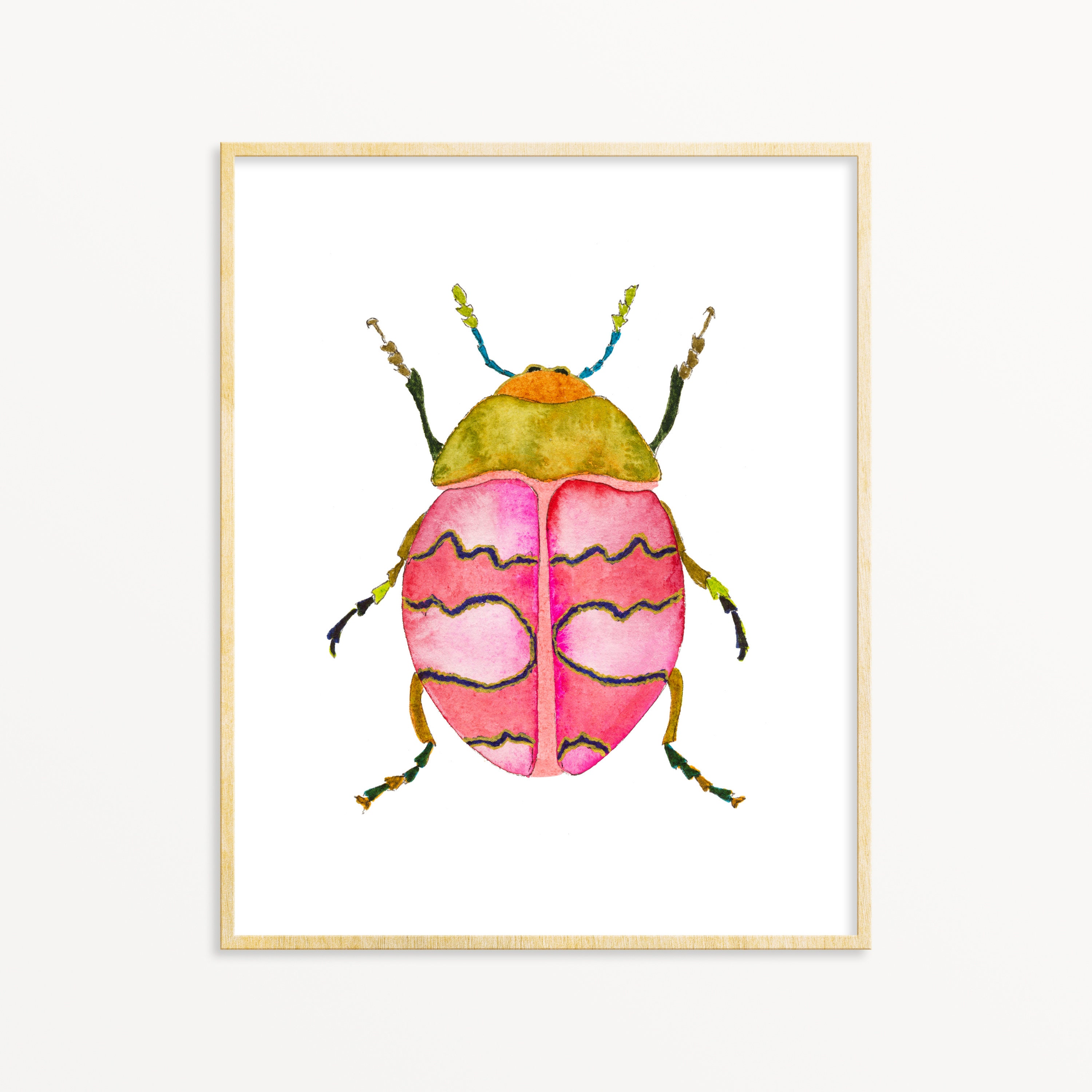 Pink Beetle Insect