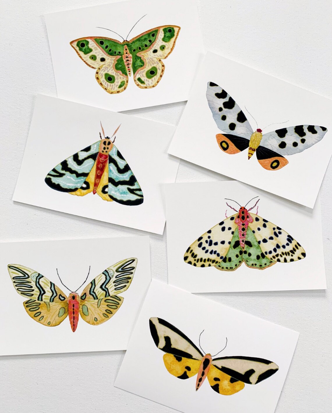 Green Moth Art Print. Pink and Green Moth Painting. Kids Room - Etsy