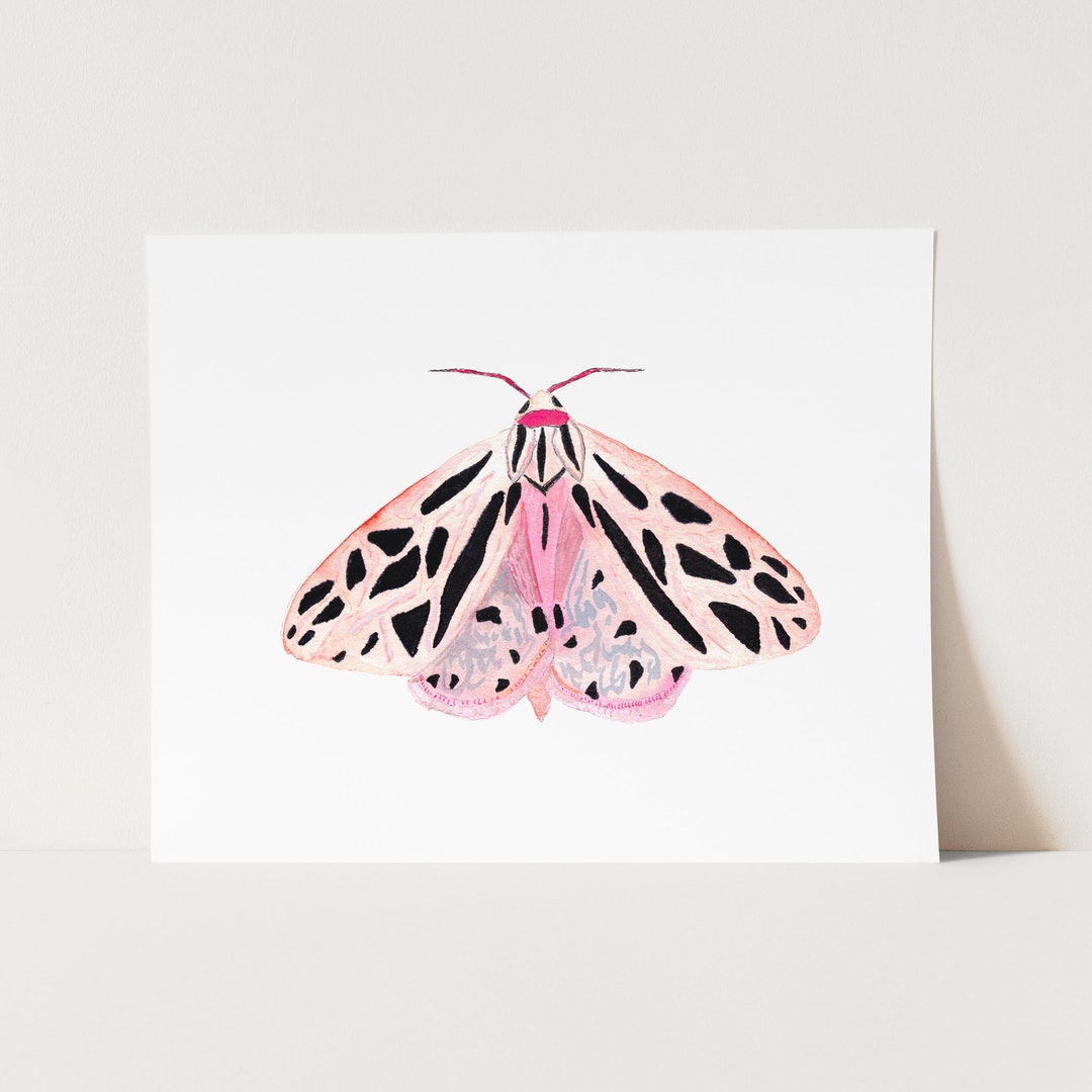 Pastel Watercolor Moth. Pink Winged Moth Art. Unique Nursery Decor ...