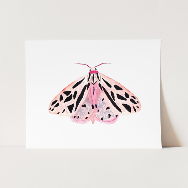 Pink Moth - Etsy