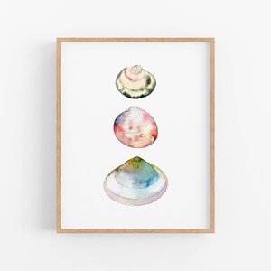 Pastel Colored Sea Shell Watercolor Art Print. Pink & Teal Watercolor ...
