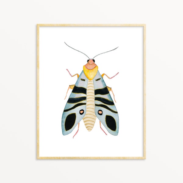 Beautiful Insects - Etsy