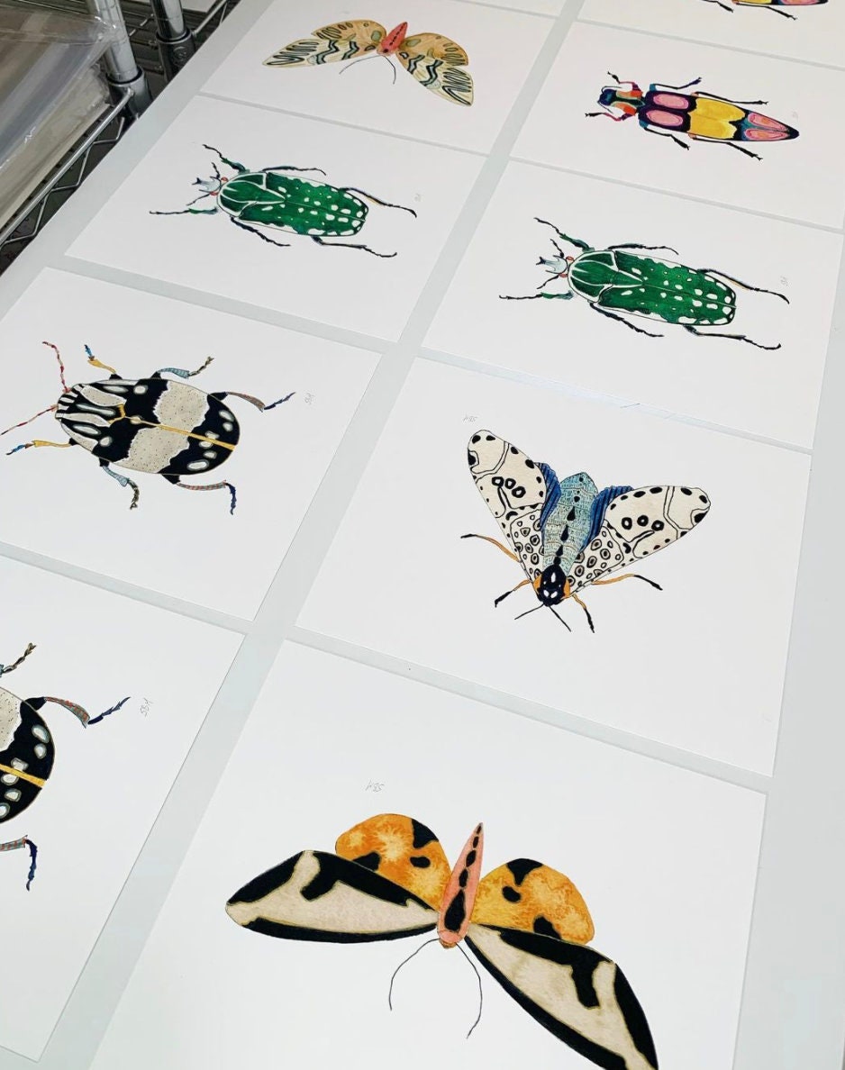 Watercolor Bug Art Print. Boys Room Decor. Colorful Bug Art | Etsy