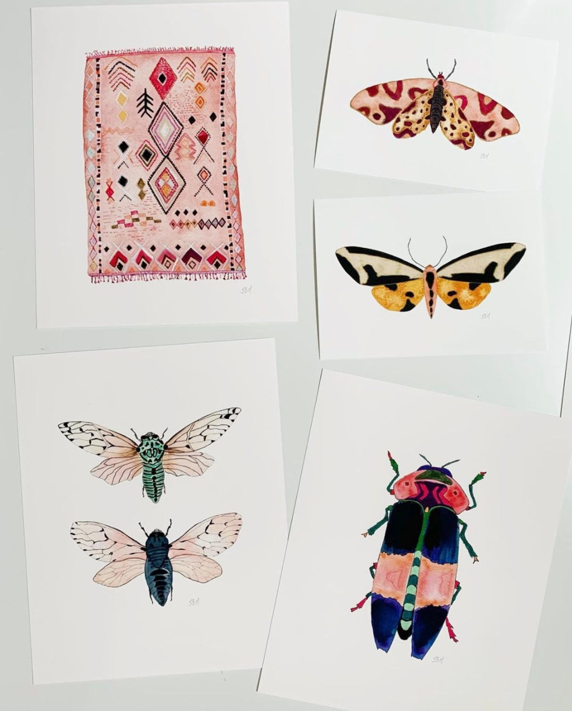 Pink Moth Art Print. Unique Bug Art. Moth Watercolor. Pink Bug | Etsy