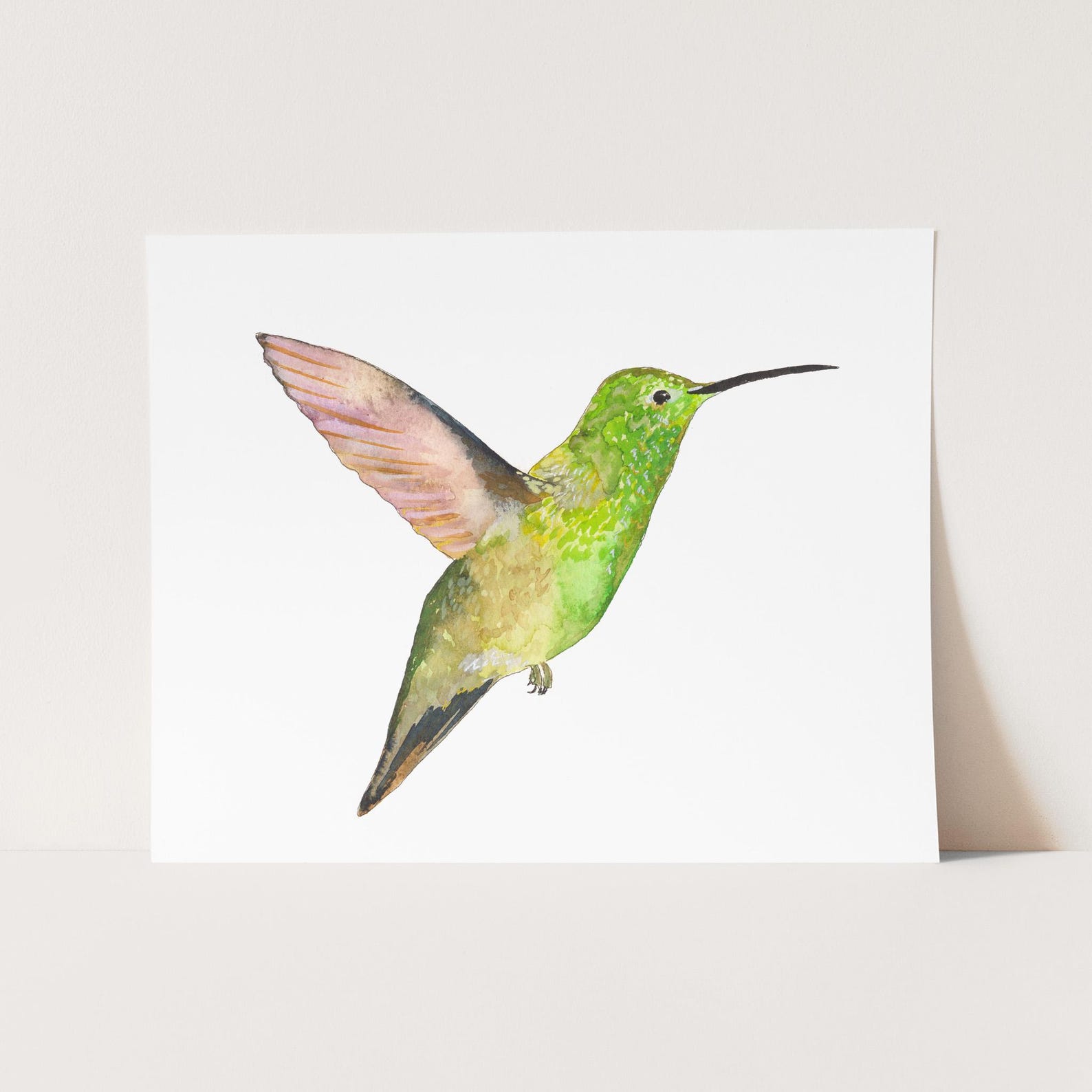 Berylline Hummingbird | Hummingbird Art Print. Hummingbirds of North ...