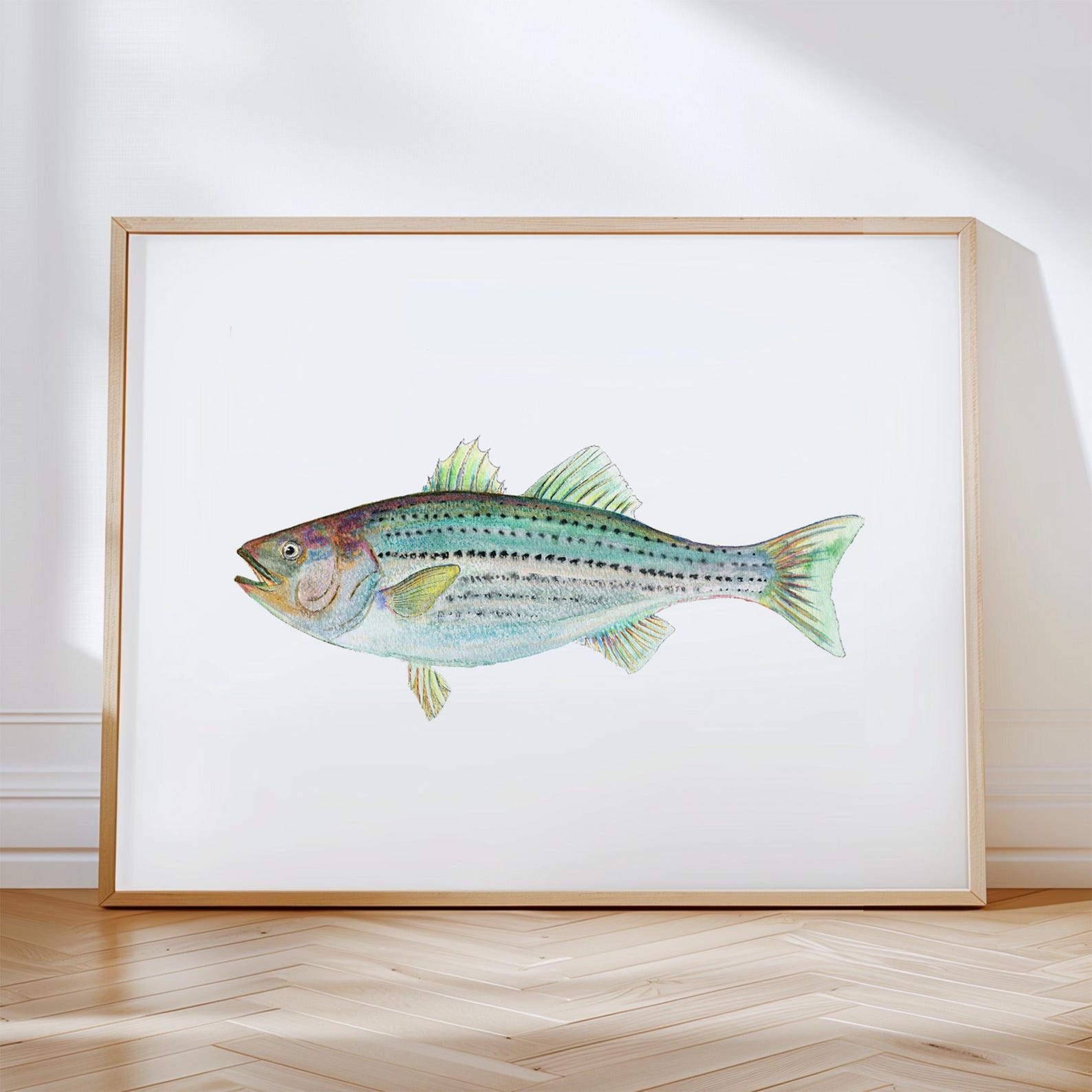 Realistic Watercolor Striped Bass Wall Art. Blue Bass Painting. Modern ...