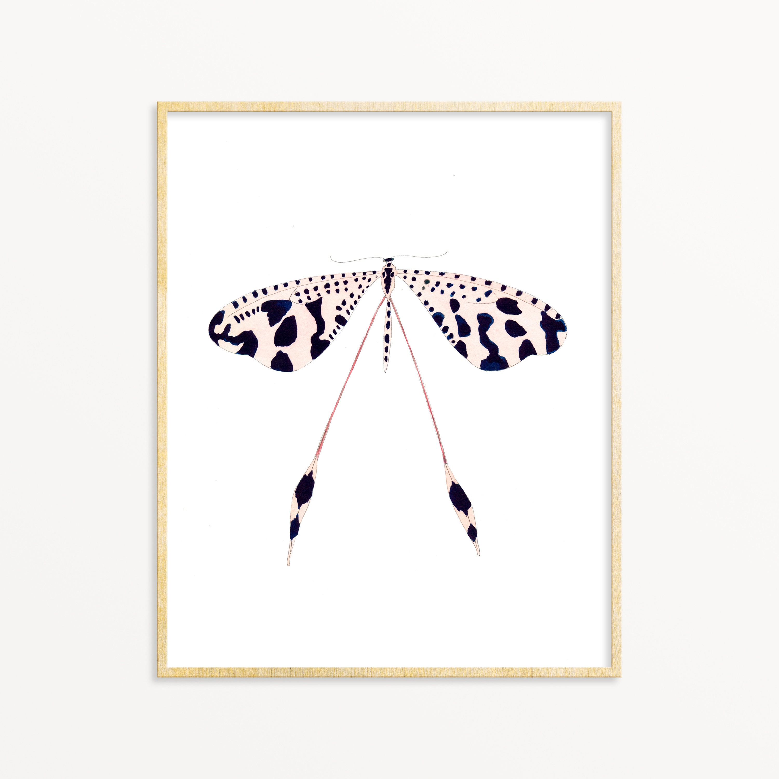 Insect Art Minimalist