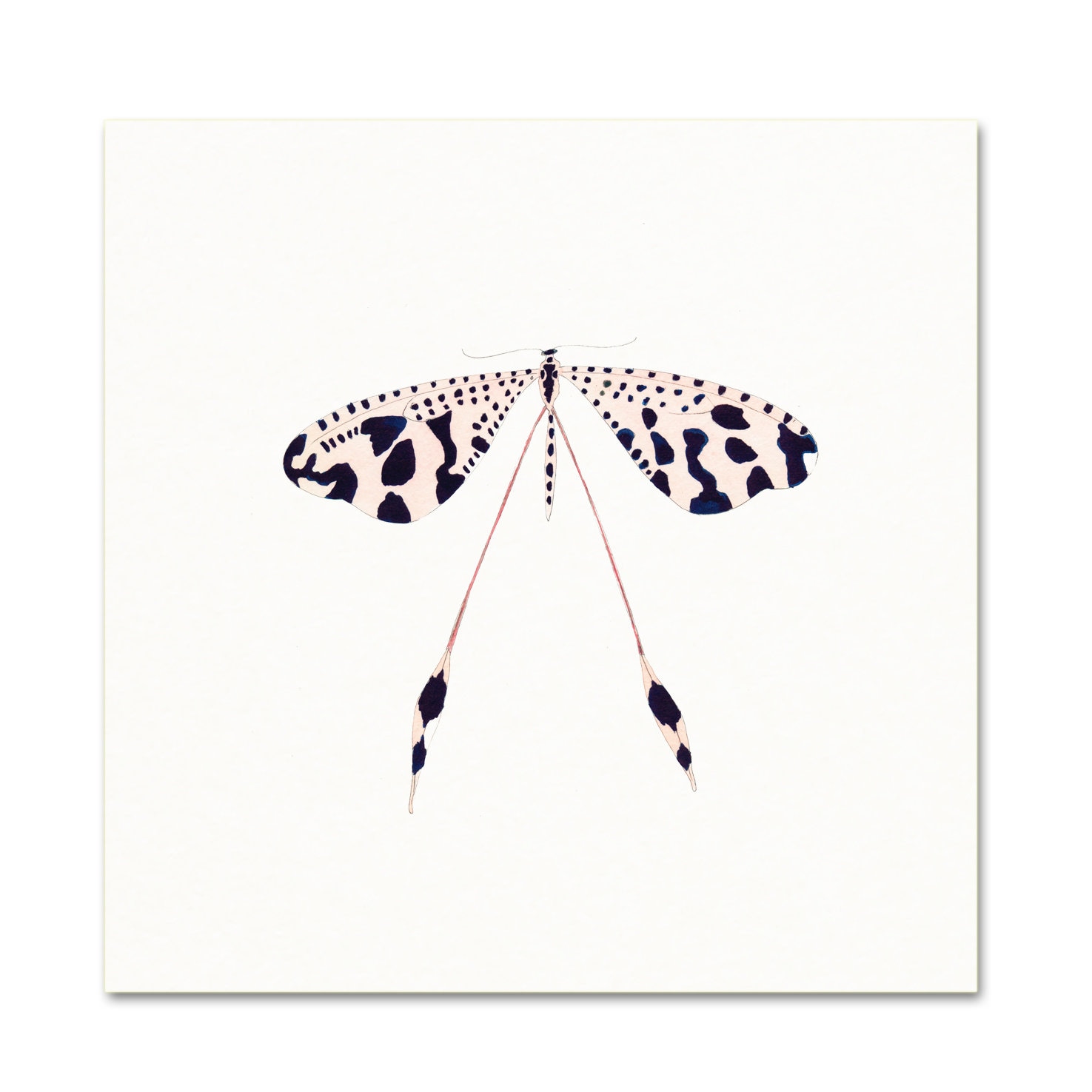 Cute Bug Art Print. Pretty Watercolor Insect Art. Pastel Pink | Etsy