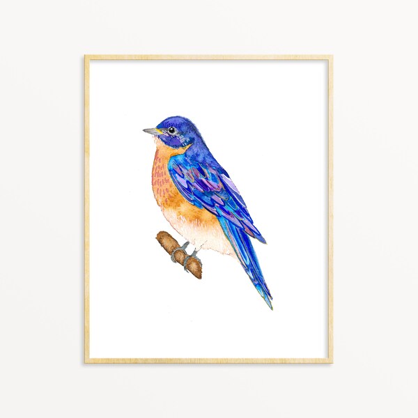Bluebird Wall Art - Etsy