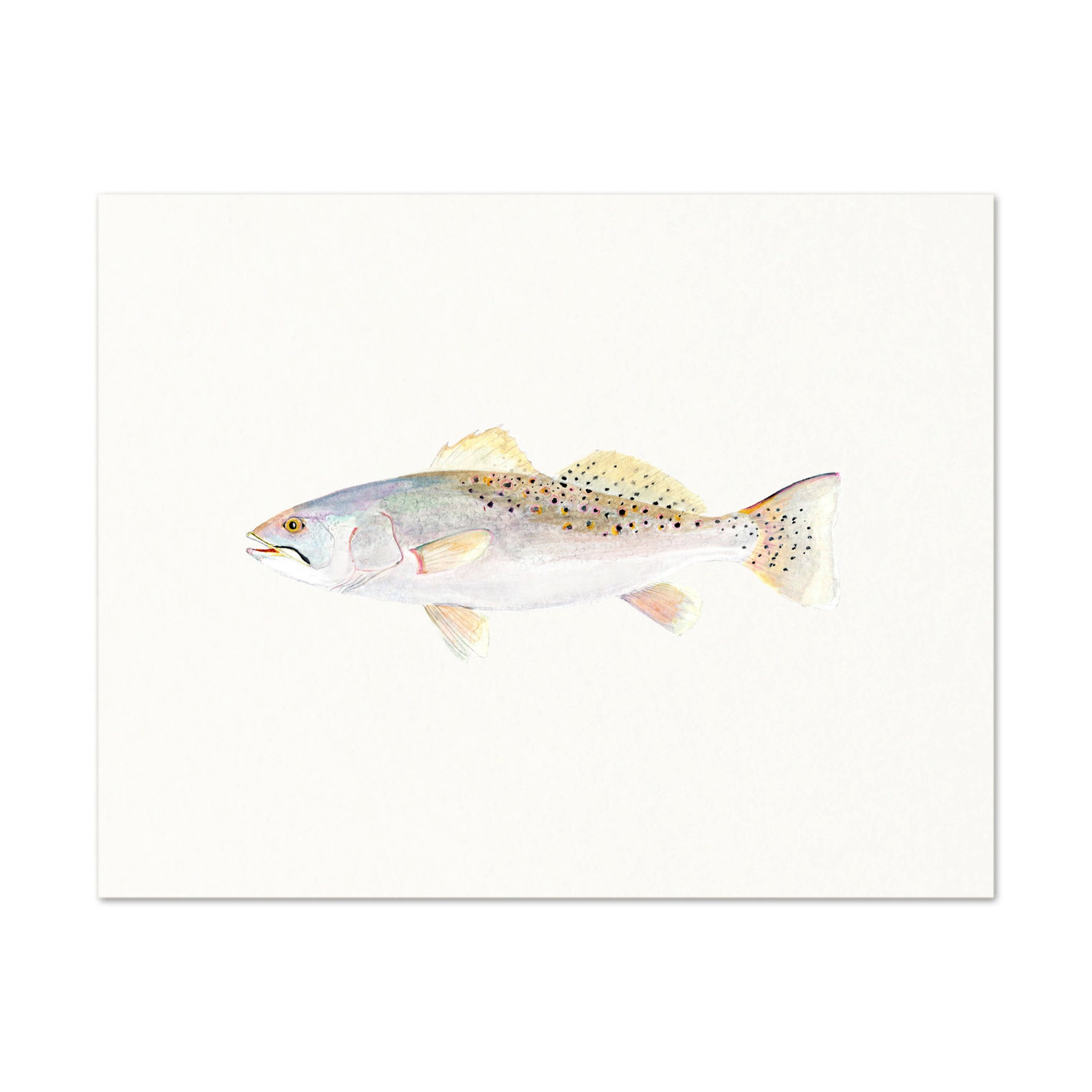 Speckled Trout Watercolor Art Print. Realistic Speckled Trout | Etsy