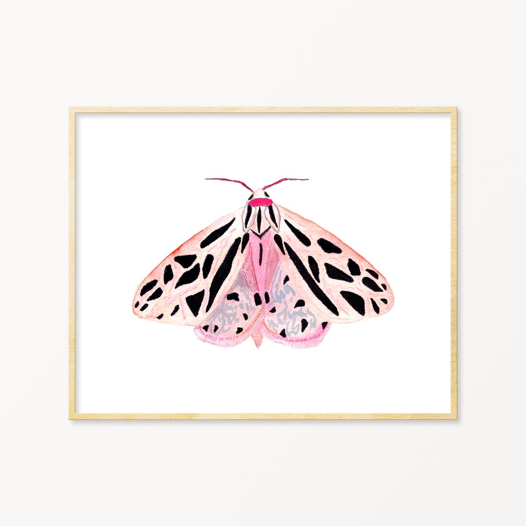 Pastel Watercolor Moth. Pink Winged Moth Art. Unique Nursery - Etsy
