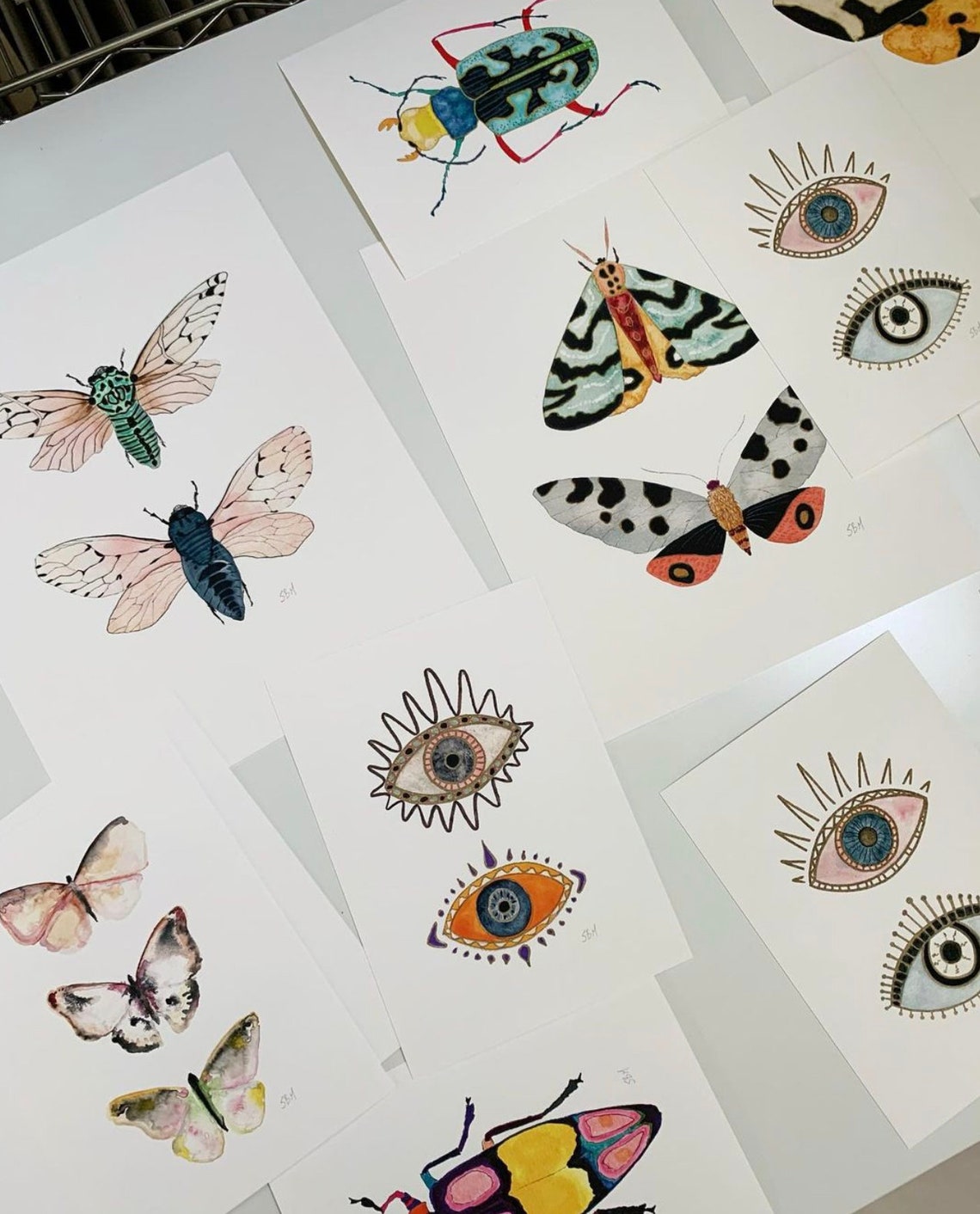 Pale Blue Moth Art. Moth Art Print. Beautiful Bug Art. Nursery - Etsy