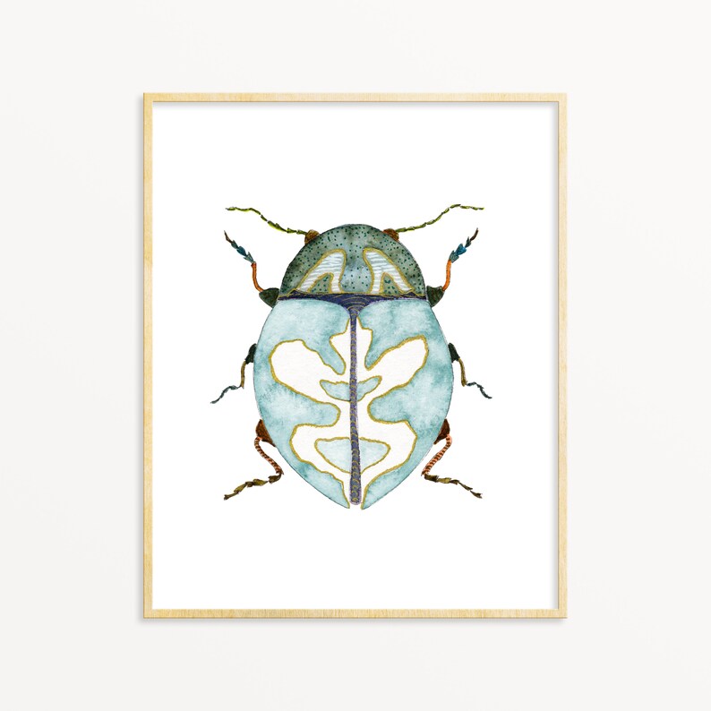 Light Blue Beetle Art Print. Pretty Bug Art. Nature Decor. | Etsy