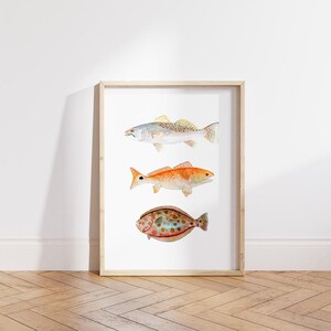 Watercolor Fish Art Print. Texas Grand Slam Red Fish, Speckled Trout ...