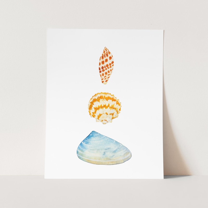 Sanibel Island Shell Art - Etsy
