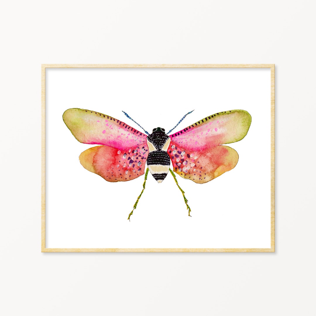 Watercolor Planthopper Art. Print. Cute Insect Art. Watercolor Bug Art ...