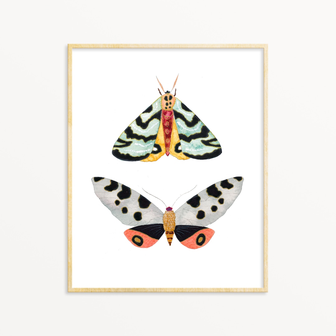 Pale Blue Moth Art. Moth Art Print. Beautiful Bug Art. Nursery - Etsy