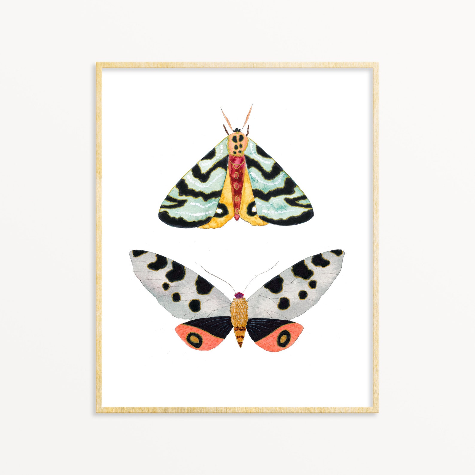 Pale Blue Moth Art. Moth Art Print. Beautiful Bug Art. Nursery - Etsy