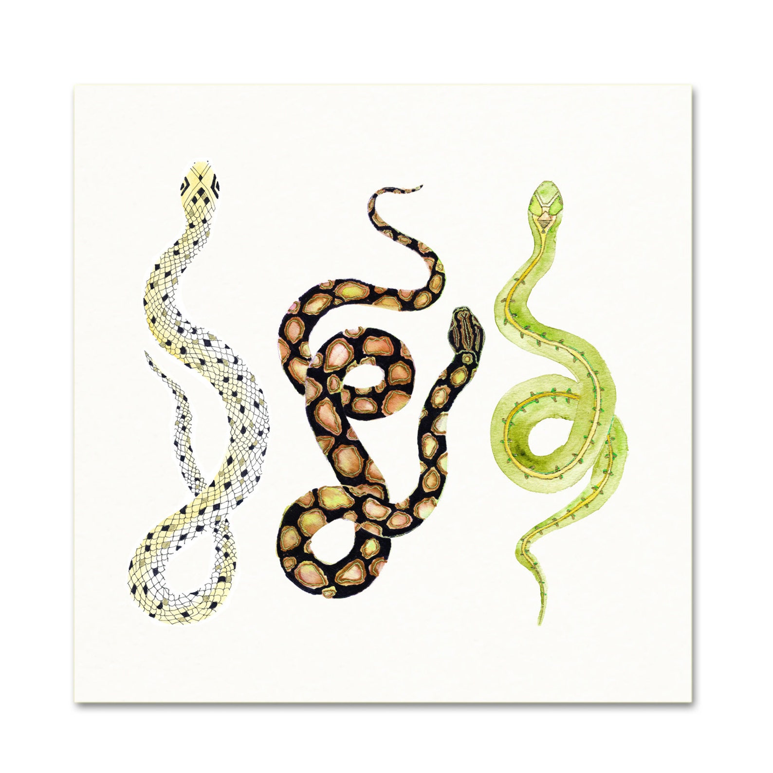 Watercolor Snakes Art Print. Green Snake Painting. Nature Wall | Etsy
