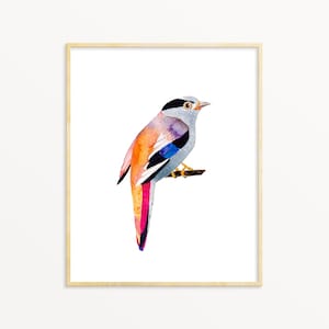 Broadbill Bird Art Print. Watercolor Bird Painting. Colorful | Etsy