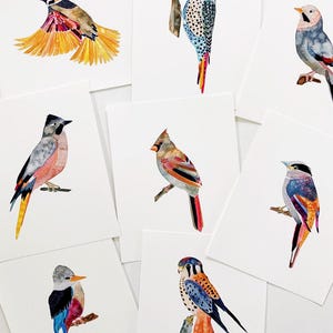 Watercolor Bluebird Art Print. Eastern Bluebird Art. Missouri, New York ...