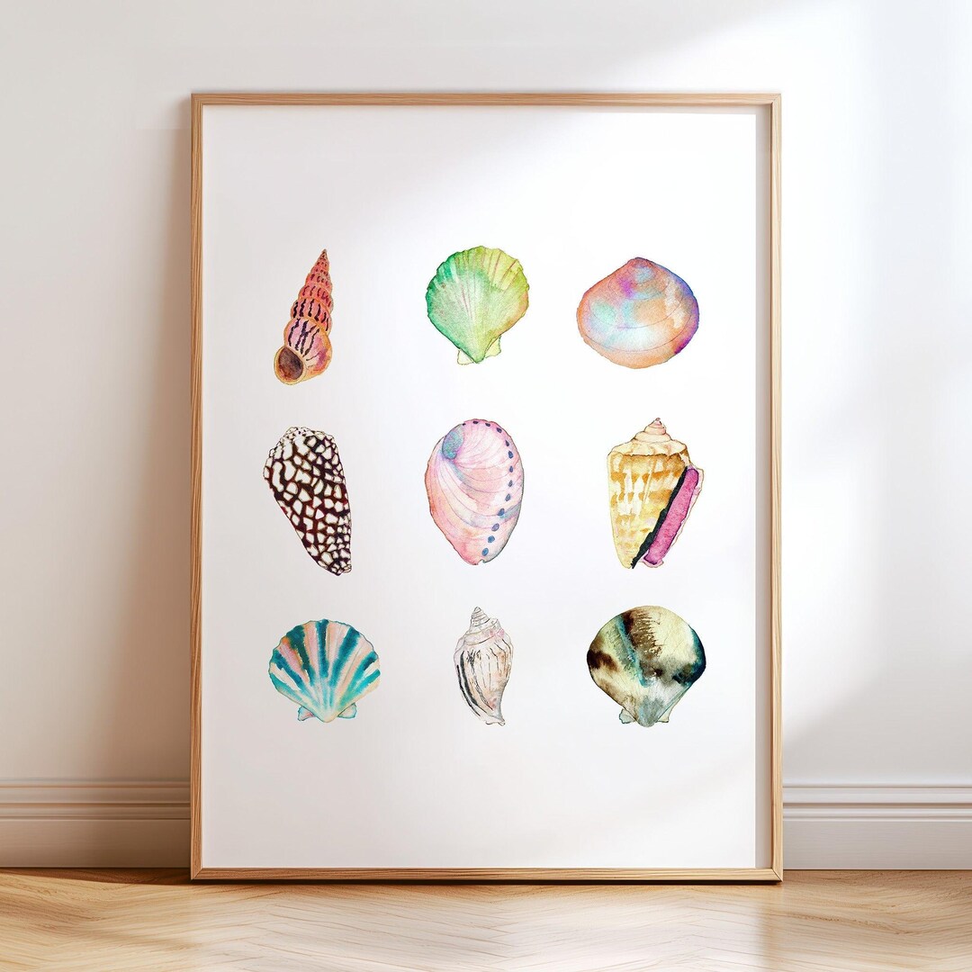 Colorful Watercolor Shell Artwork. Pink, Blue, Green, Orange Sea Shell ...