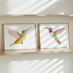 Vibrant Watercolor Hummingbird Art Print Set of 2, Rufous and Broad ...