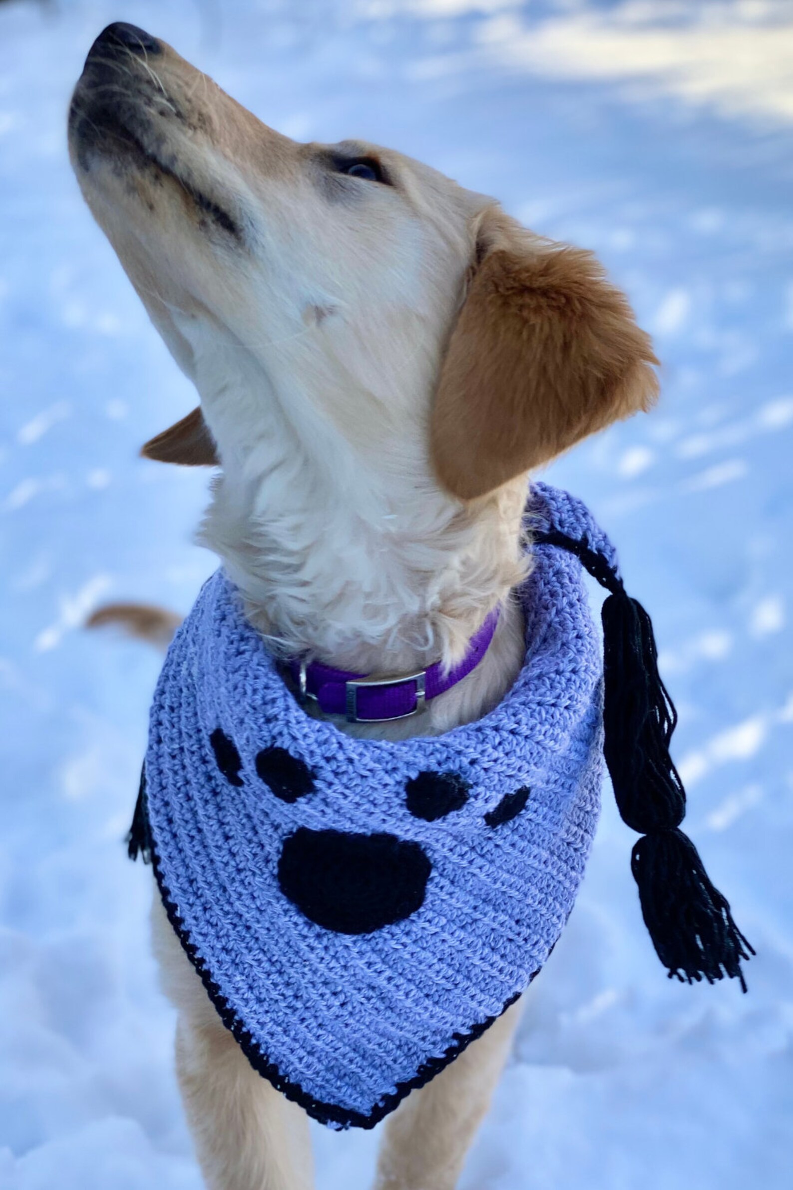 Pretty Paws Pet Bandana Crochet Pattern - PATTERN ONLY - Instant ...