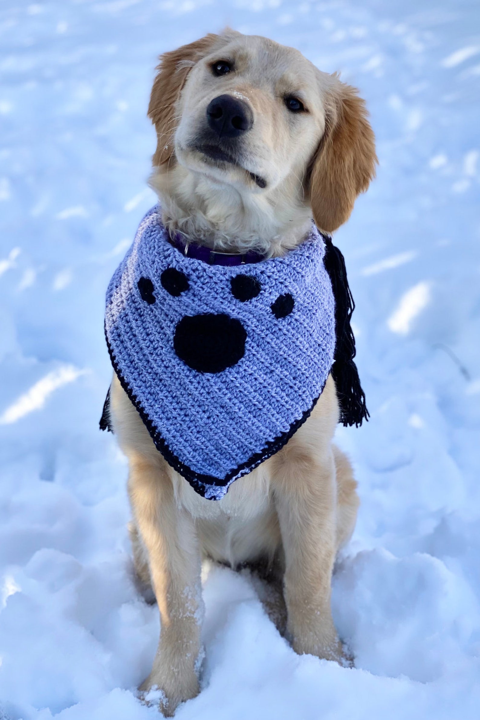 Pretty Paws Pet Bandana Crochet Pattern - PATTERN ONLY - Instant ...