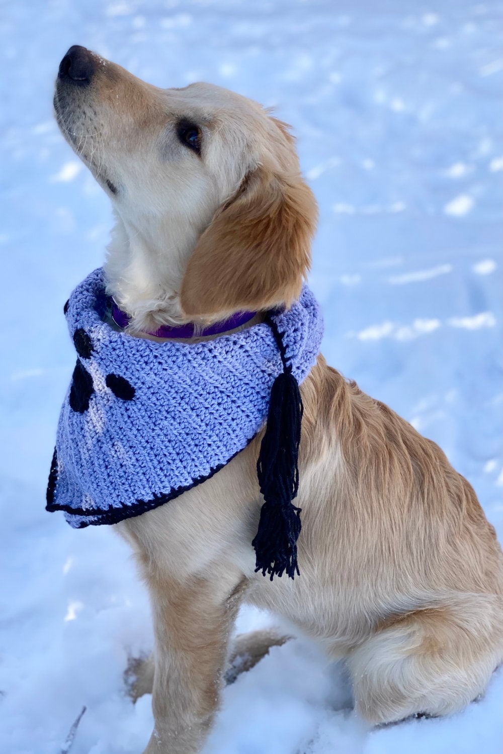 Pretty Paws Pet Bandana Crochet Pattern - PATTERN ONLY - Instant ...