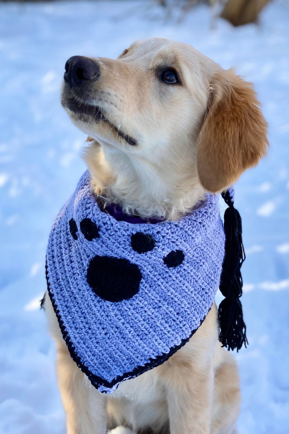 Pretty Paws Pet Bandana Crochet Pattern - PATTERN ONLY - Instant ...