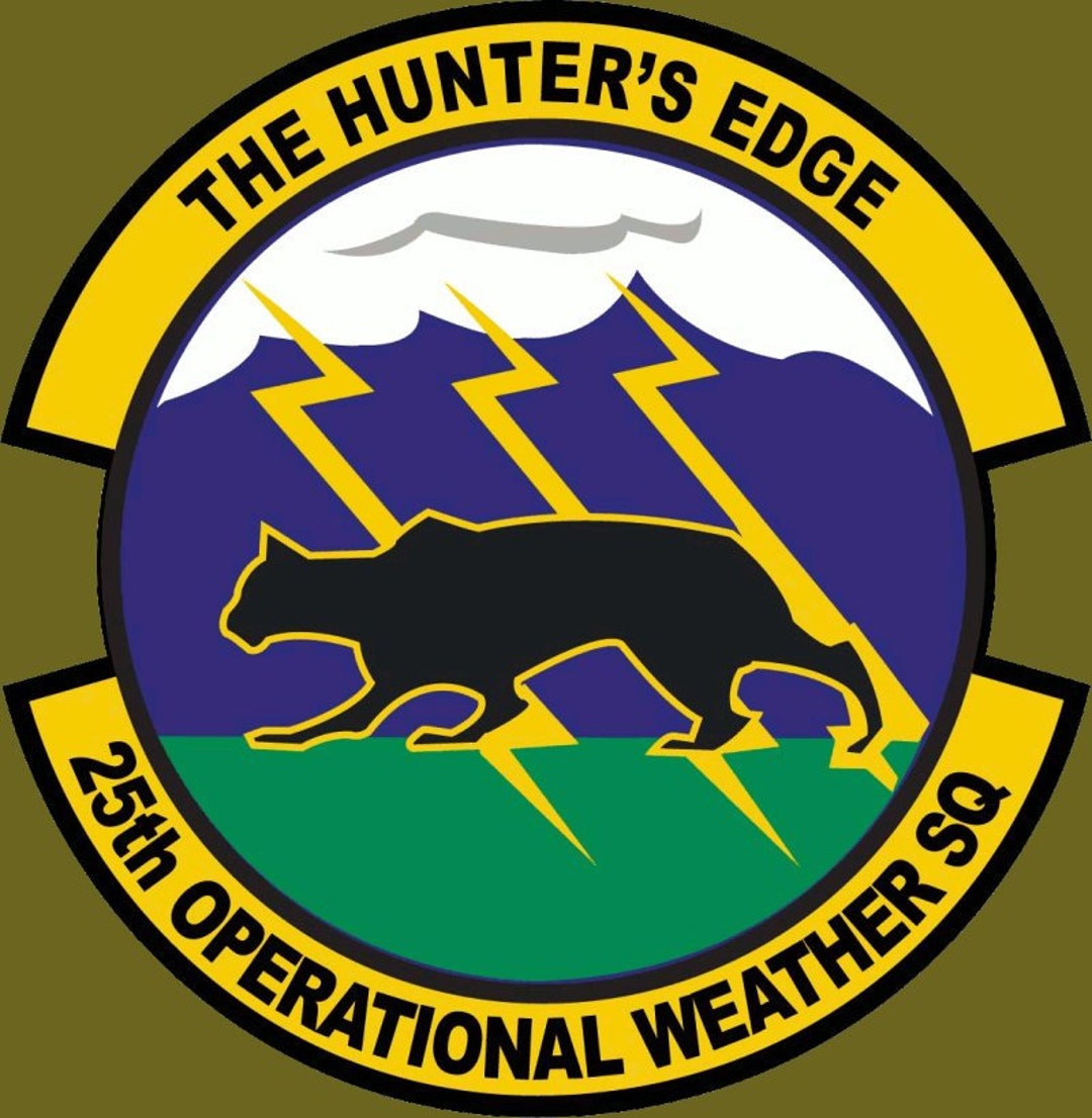 Military Squadron Patch Etsy Military Squadron Patch Etsy