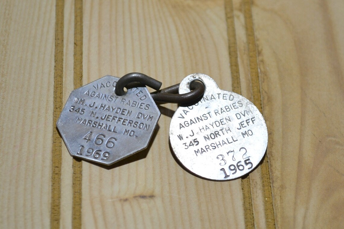 Vintage 1960s Rabies Vaccination Dog Tags Veterinarian Farm FFA Animal ...