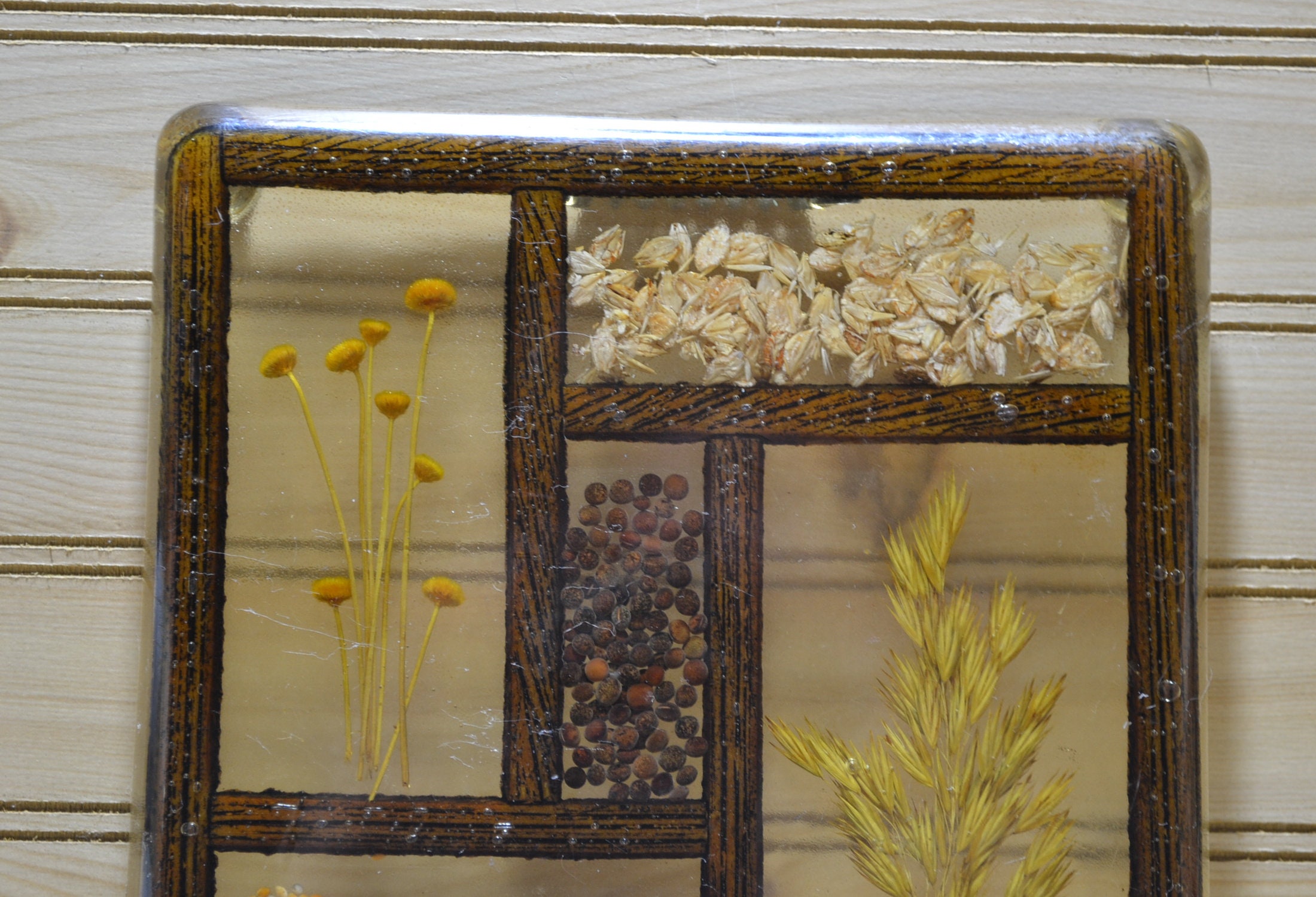 Trivets Vintage Seed Grain Resin Acrylic Hanging Trivet Mid Century ...