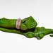 Vintage Atlantic Mold Gator Paper Clip Clothespin Recipe Letter Note ...