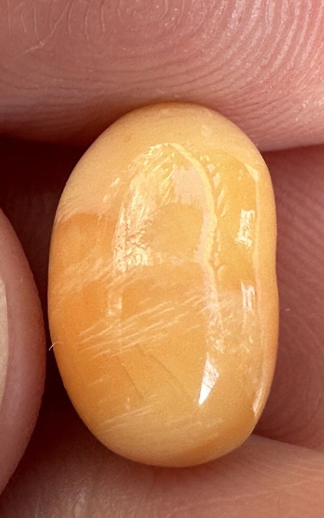 Extraordinary Melo Pearl 7.14ct - Etsy