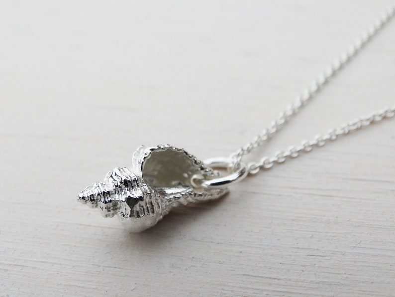 Silver Shell Necklace Whelk Seashell Sterling Silver - Etsy Silver Shell Necklace Whelk Seashell Sterling Silver - Etsy