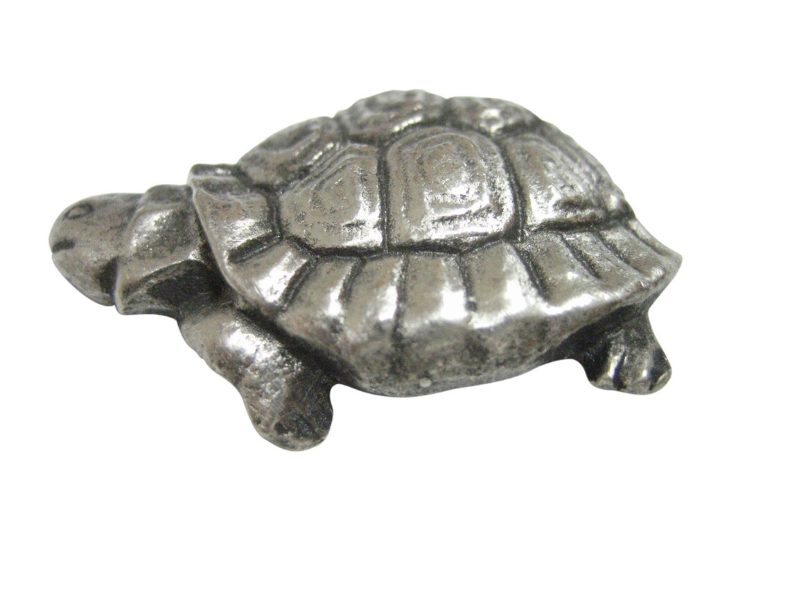 Textured Turtle Tortoise Magnet - Etsy