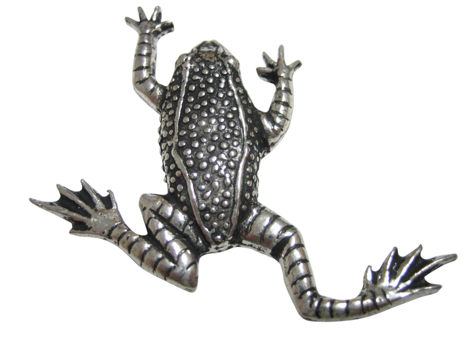 Leaping Toad Frog Magnet - Etsy