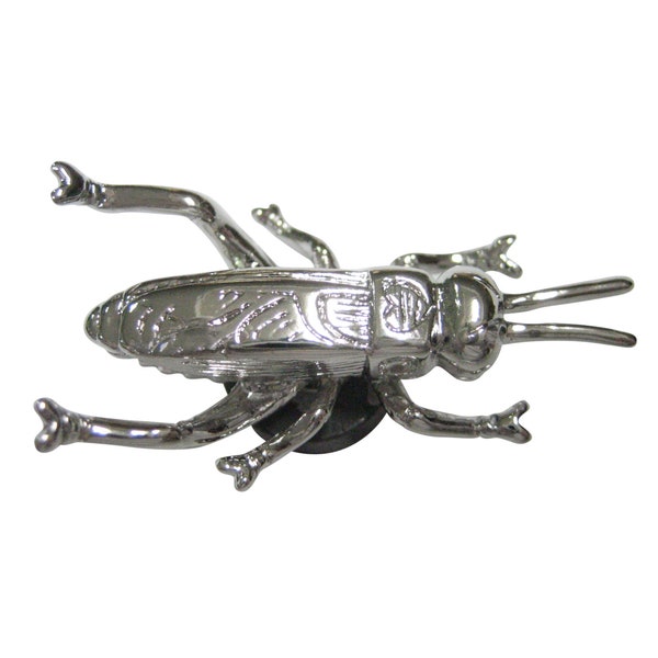 Insect Magnet - Etsy