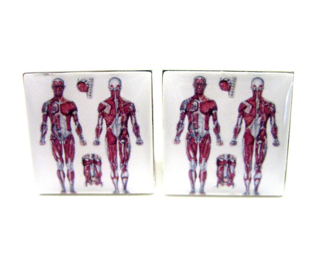 Human Chart Cufflinks - Etsy