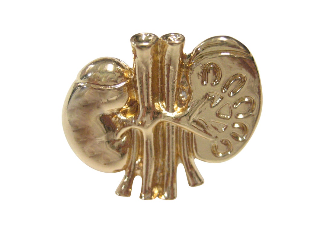 Gold Toned Anatomical Medical Nephrologists Kidney Adjustable Size ...