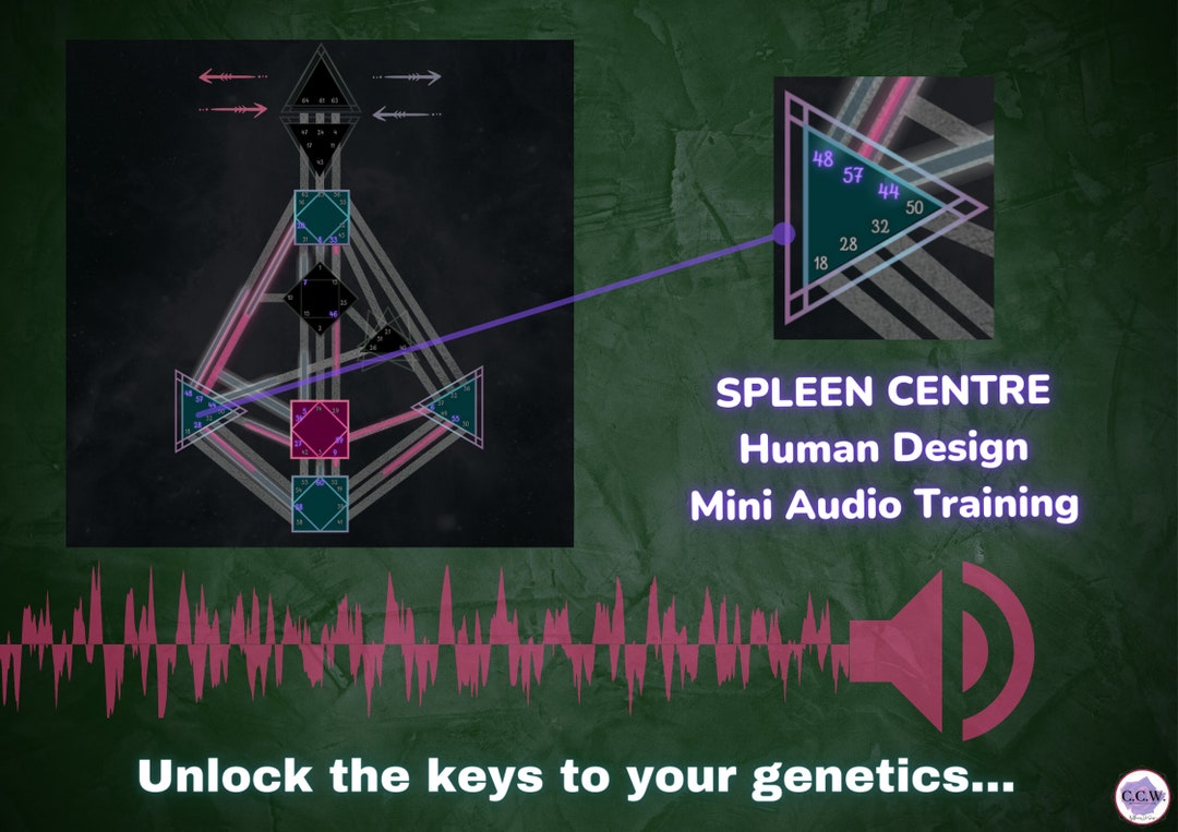 Spleen Centre Human Design Mini Audio Training Download, Genetics ...