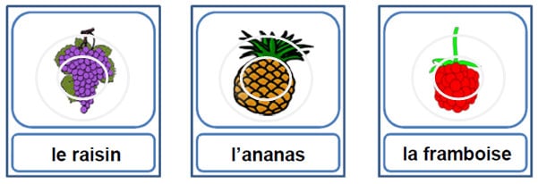 FRENCH KIDS LEARNING Fruit Words School Poster/language Teacher ...