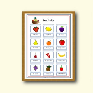 FRENCH KIDS LEARNING Fruit Words School Poster/language Teacher ...
