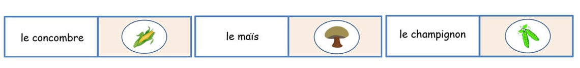 French Learning Cards - Vegetables - Lesson Plans - Kids Activities ...